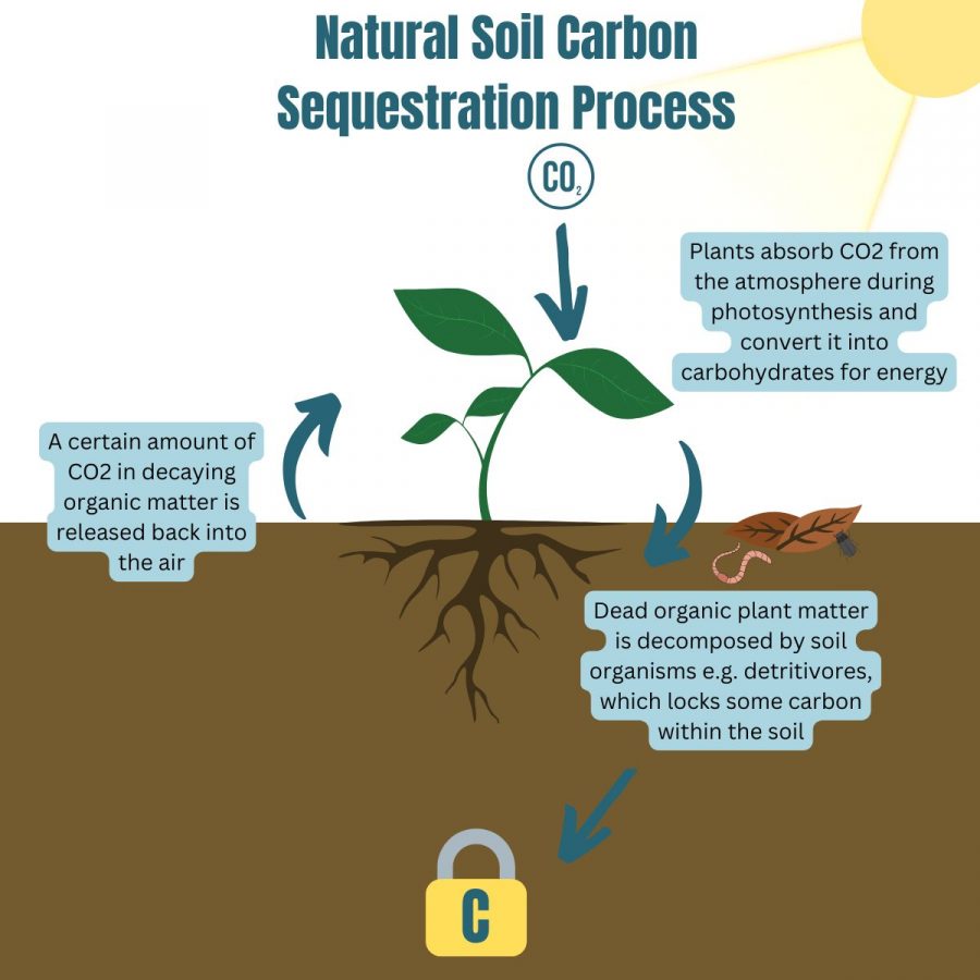 A Critical Need for Soil Restoration: Supporting Carbon Sequestration ...